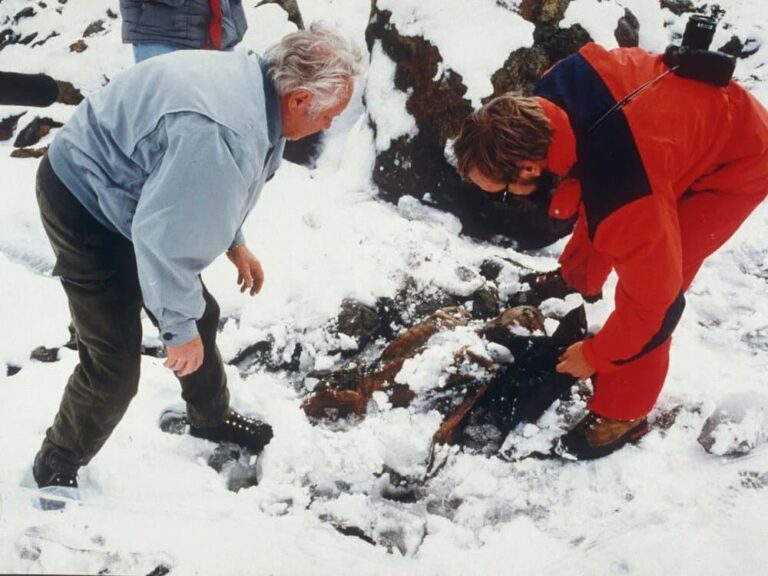 Scientists Reconstruct the Story of Ötzi, the Murdered Iceman ...