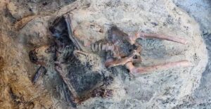Remains of Man Who Was ‘Vaporized’ by Mount Vesuvius 2,000 years ago ...