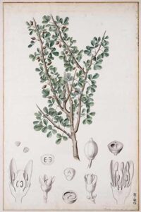 Amethyst Seal Discovery in Jerusalem Reveals Possible Biblical ...