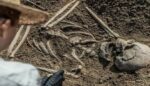 350-Year-Old African Remains Found in Portugal’s Stone Age Site ...
