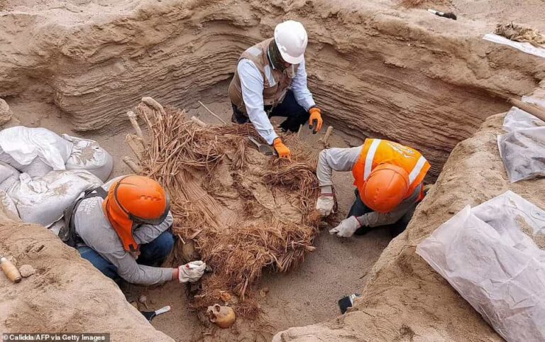 800-Year-Old Burials Uncovered in Peru: Gas Workers' Remarkable ...